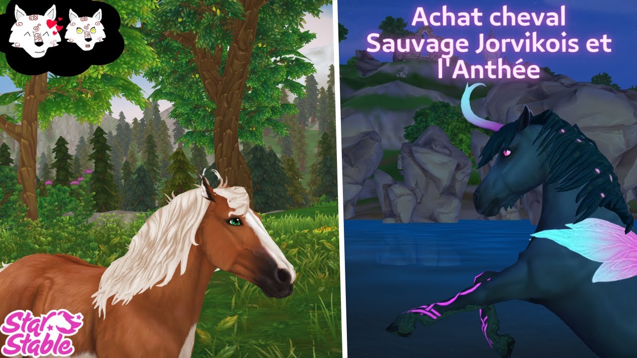 {Star stable} Achat du cheval sauvage Jorvikois et de l'Anthée - YouTube