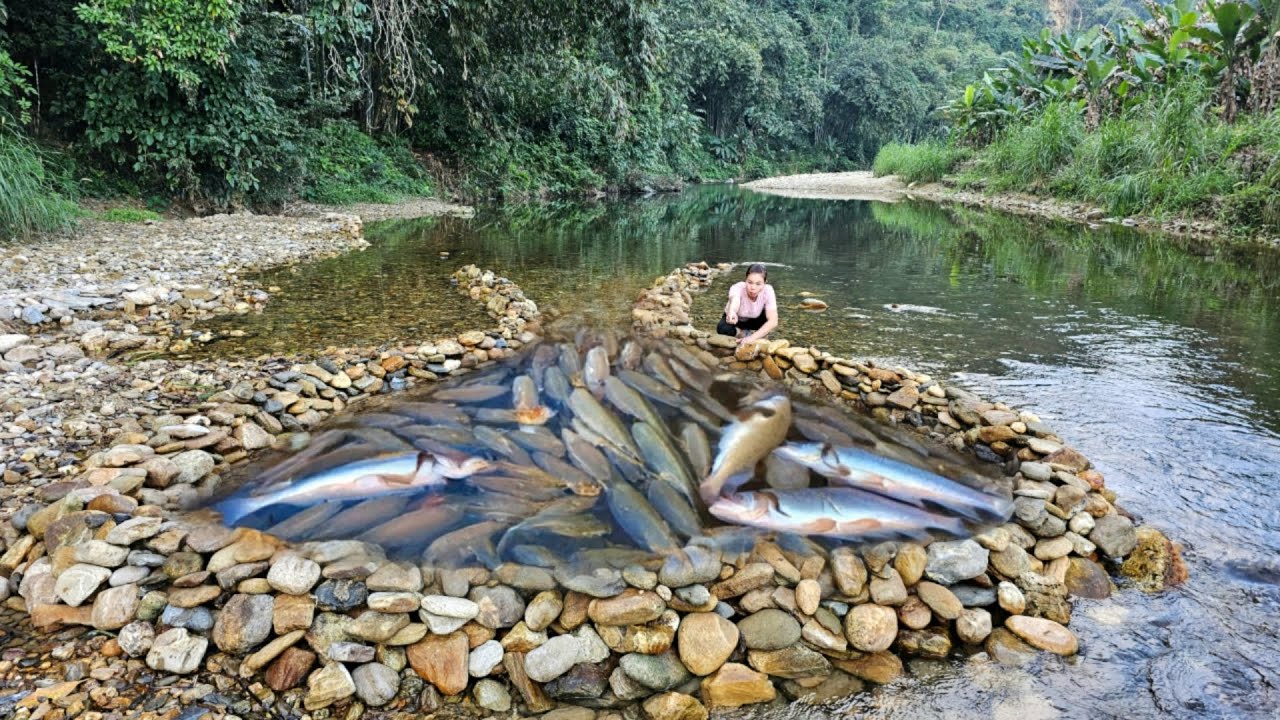 Full video of Ana's most unique methods of trapping fish in streams ...