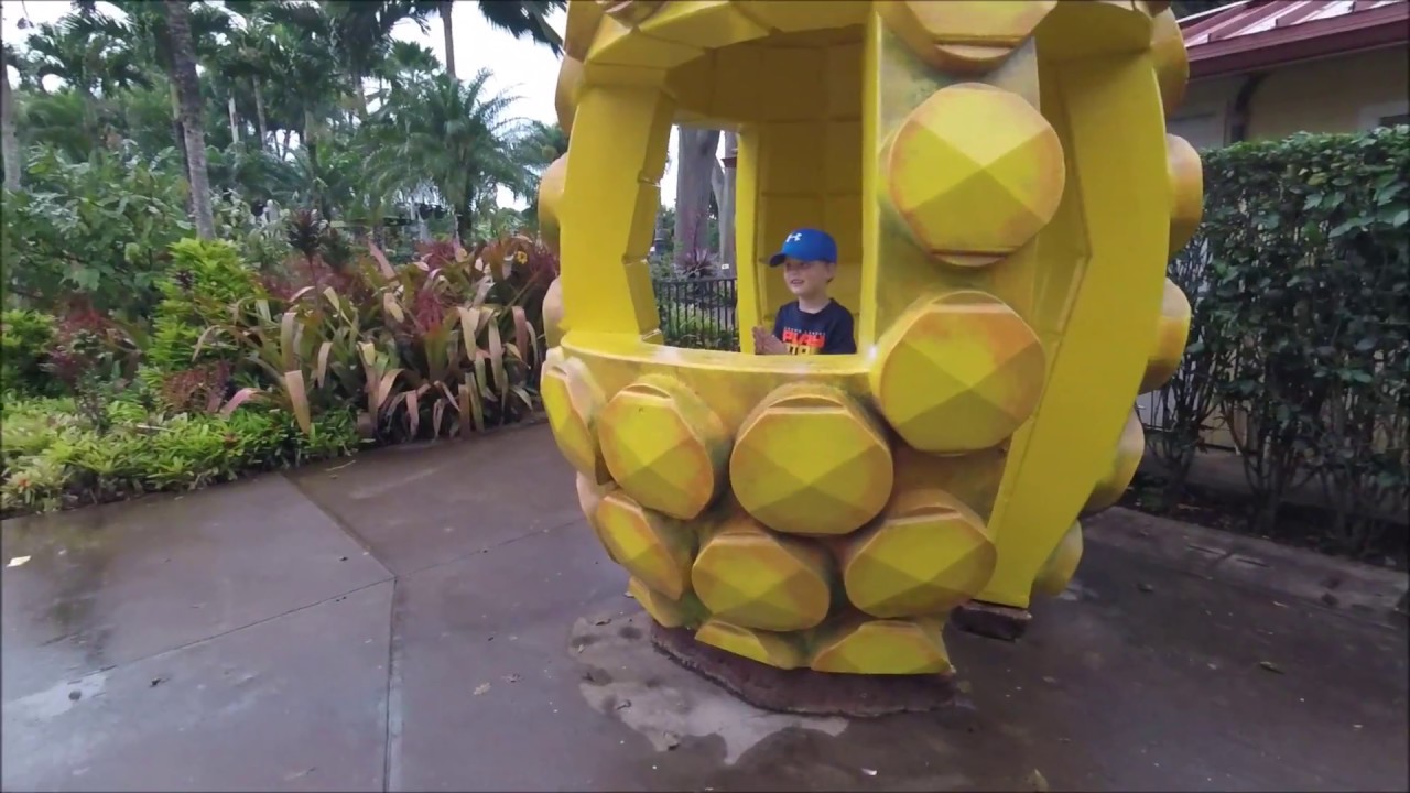 HAWAII TRIP 2018 DAY 3 - Dole Plantation & Kualoa Ranch - YouTube
