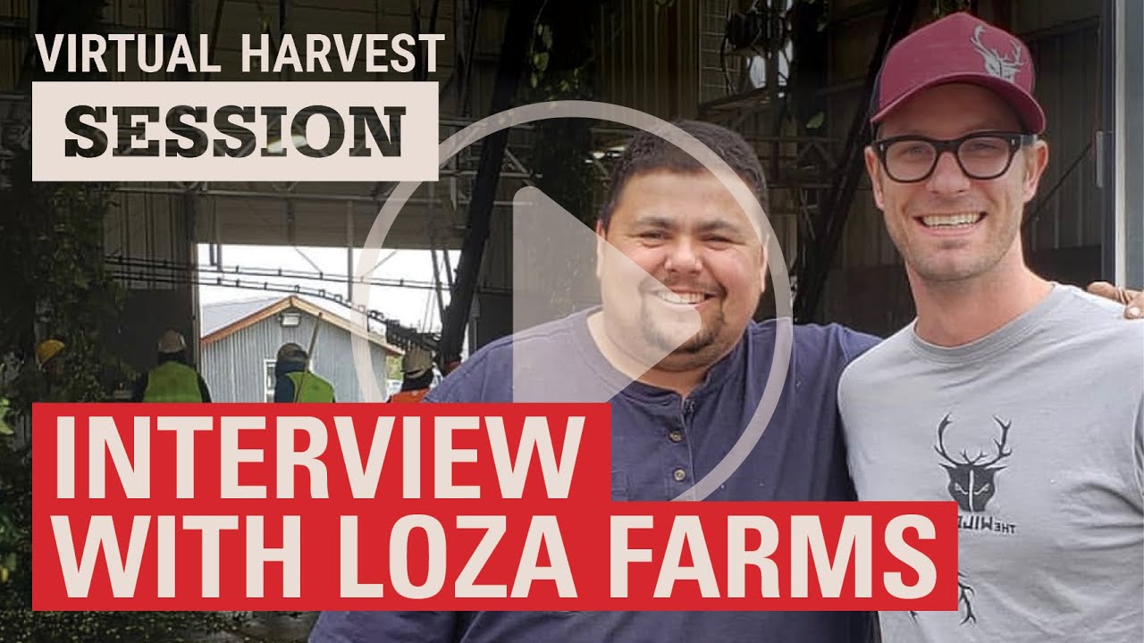 An Interview with Loza Farms (En Español) - YouTube