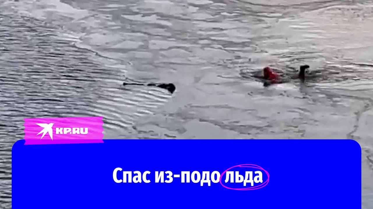 Спас из подо льда девушка прыгнула в реку Малая Кокшага в Йошкар оле