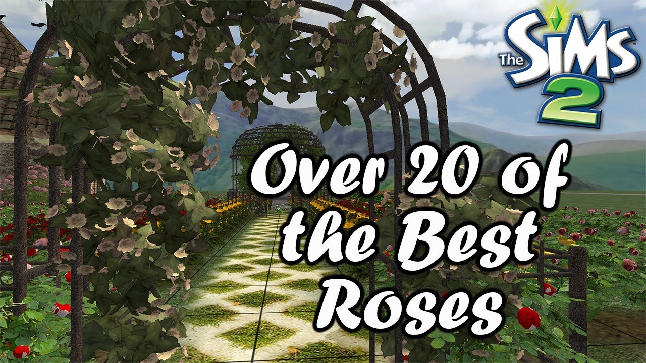 I found the best CC roses in the Sims 2 so you don't have to - YouTube