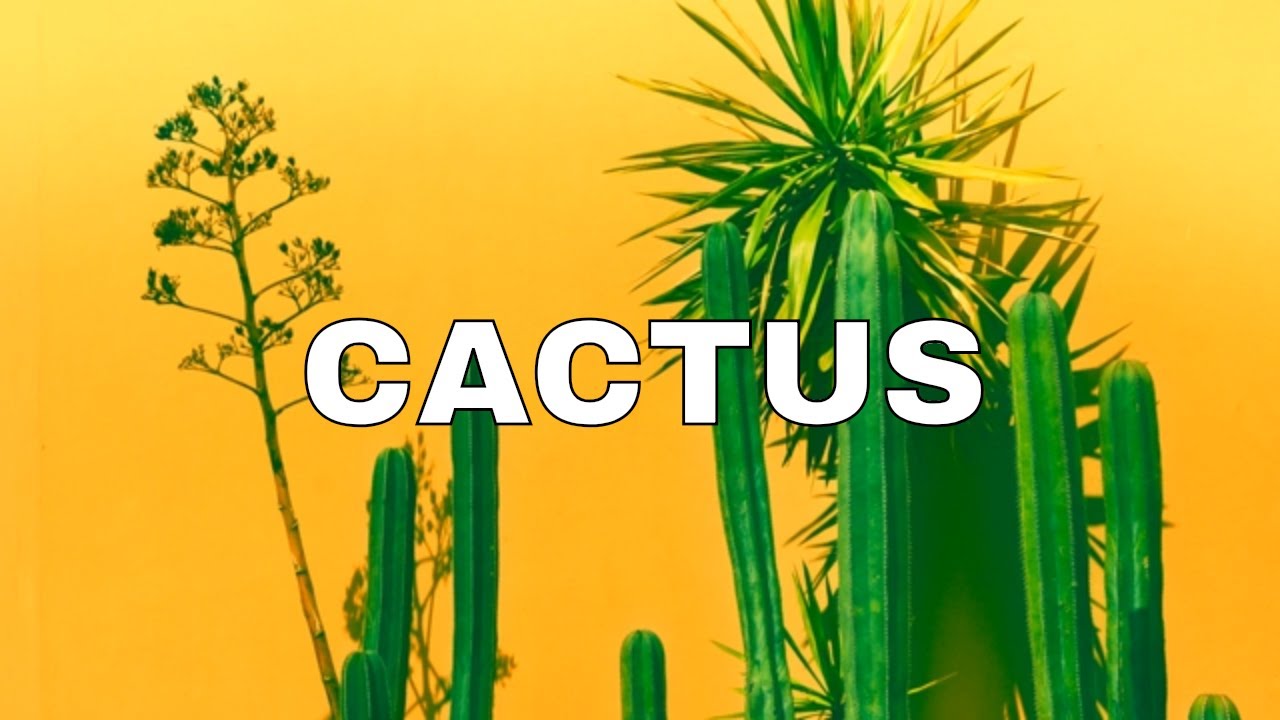 Travis Scott x Quavo x Drake Type Beat Instrumental 2019 "CACTUS" - YouTube