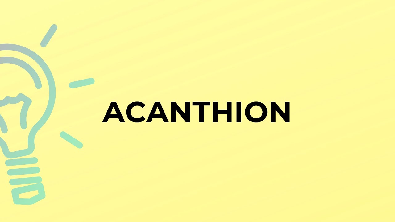 What is the meaning of the word ACANTHION? - YouTube