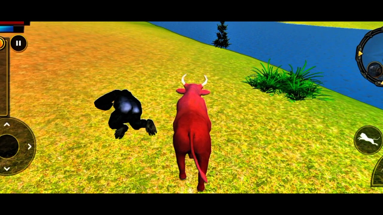 El toro enojado toreó||El toro con la cabra||El buey mató al asno||El ...