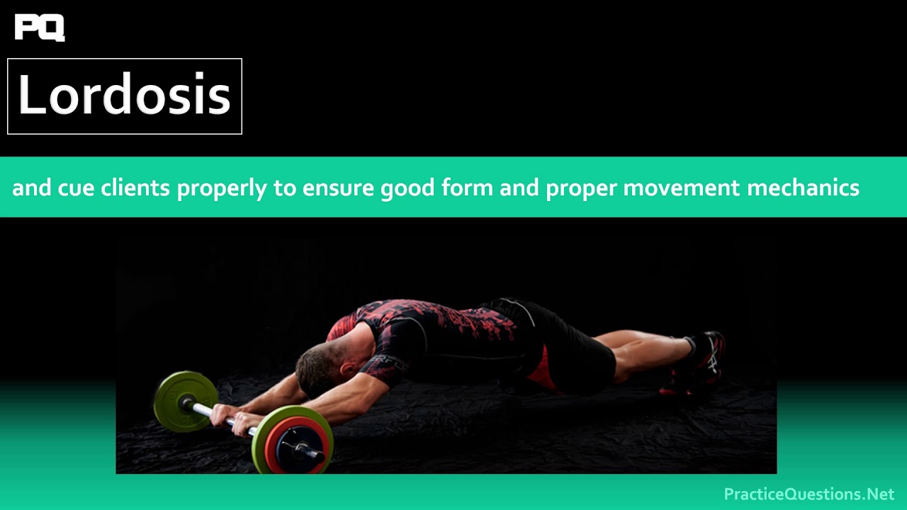 Lordosis Part 2: Anatomy & Physiology for Personal Trainers - YouTube