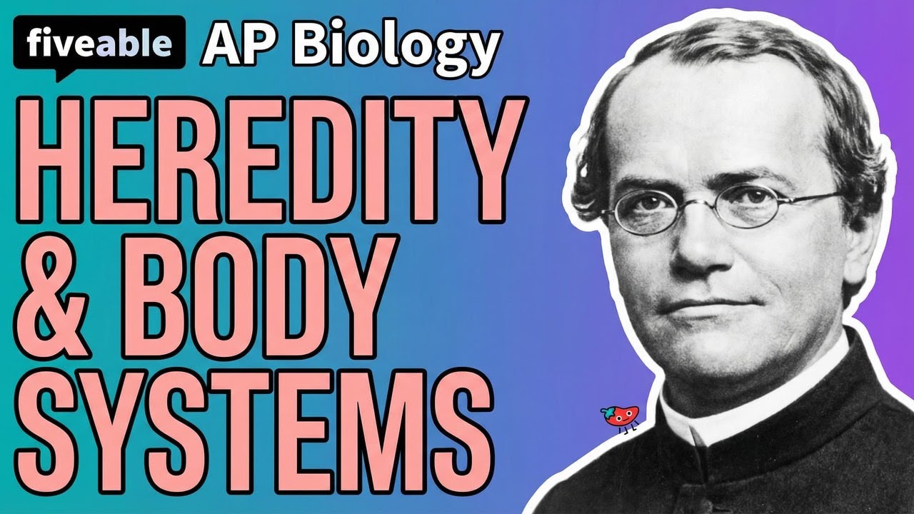 AP Biology - Units 5 & 6 Review: Heredity & Body Systems | Fiveable ...
