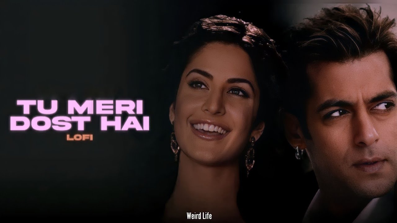 Tu Meri Dost Hai x LOFI REMIX Song || Salman Khan, Katrina Kaif ...