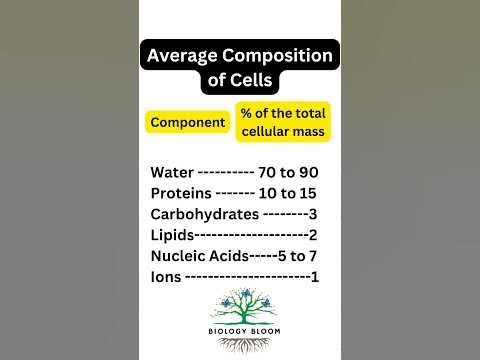 Average Composition of Cells % #biologybloom - YouTube