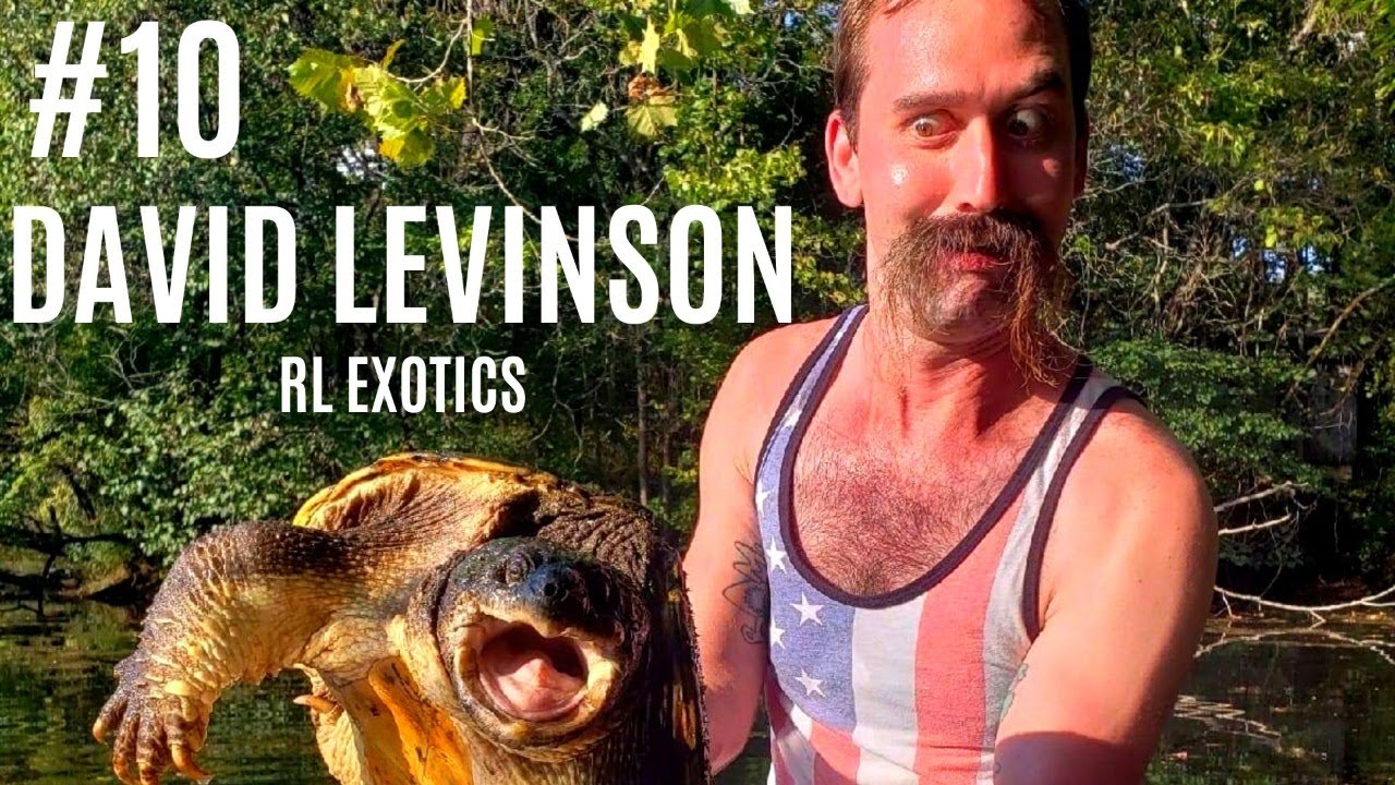 #10 DAVID LEVINSON OF RL EXOTICS - YouTube
