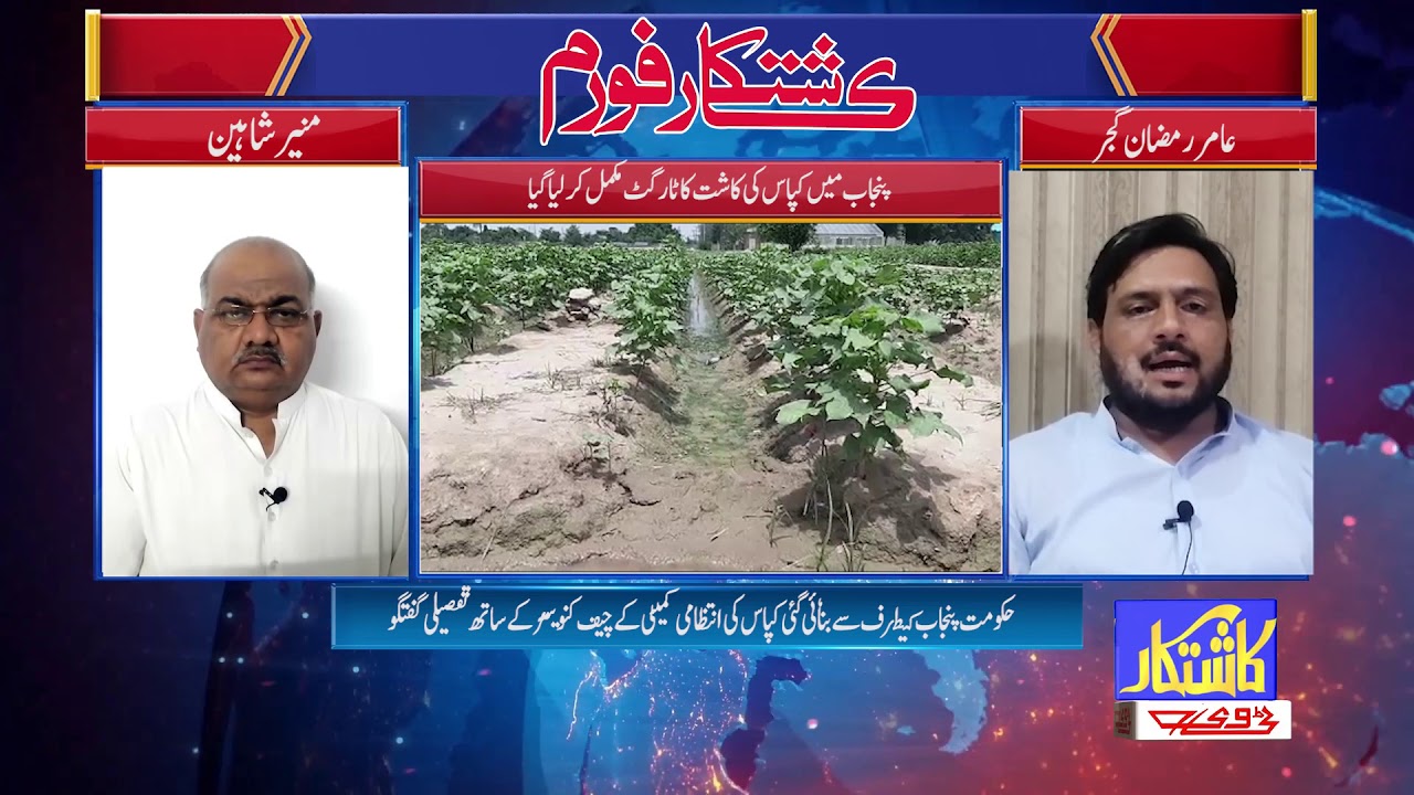 Talk With Amir Ramzan Gujjar On Cotton Issue. 21june2020 - YouTube
