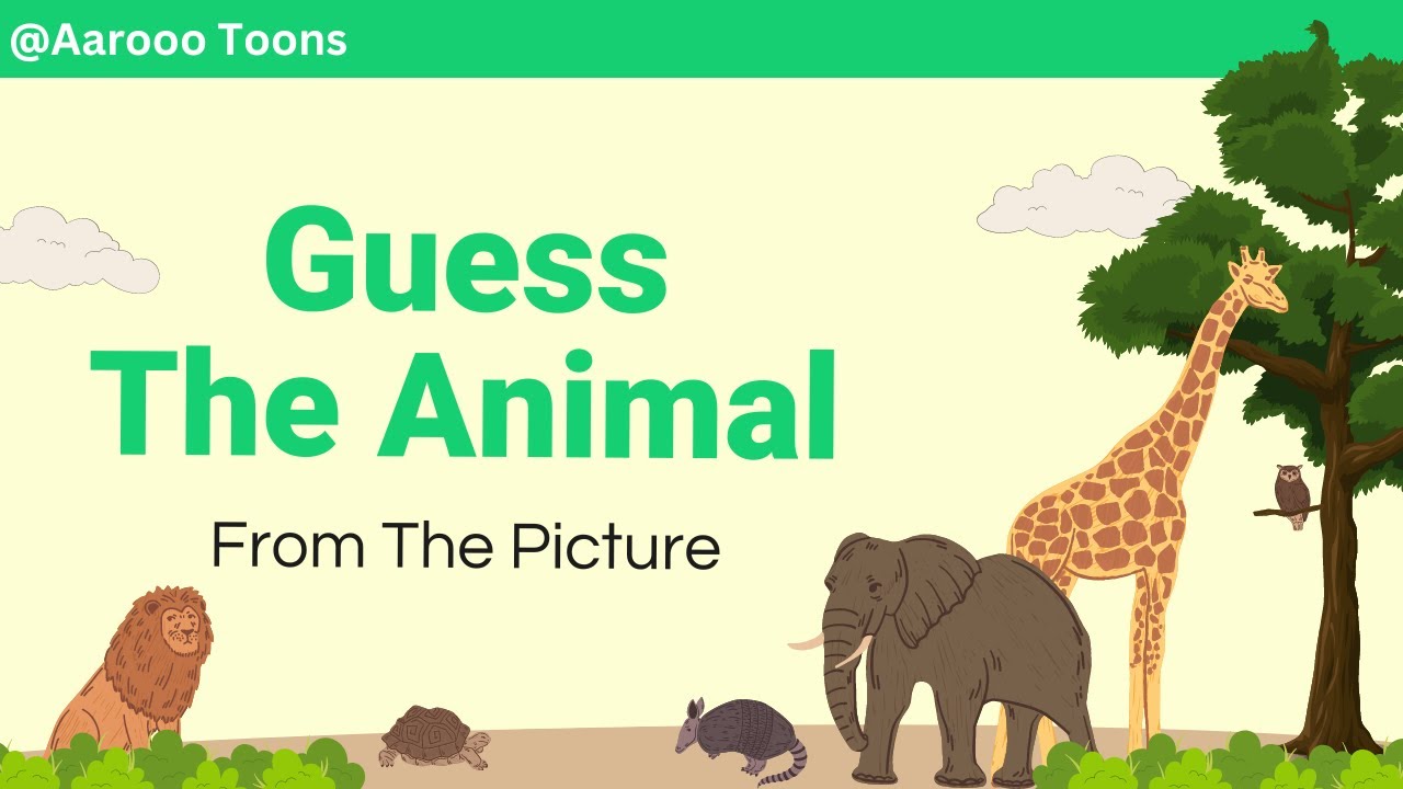 Guess Animal from the picture - YouTube