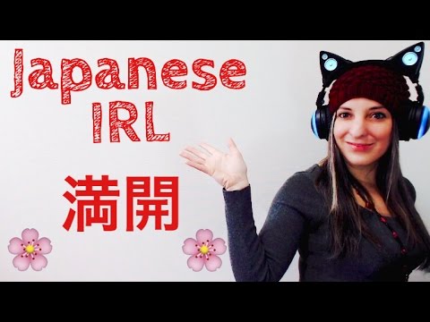 満開 Mankai ~ Japanese IRL! - YouTube