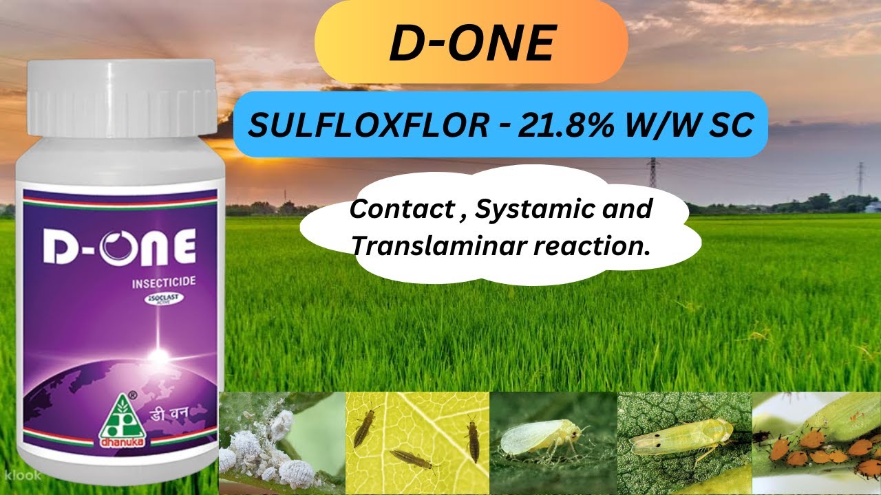 D-ONE | Sulfoxaflor 21.8% SC | Dhanuka Chemical | Insecticide | control ...