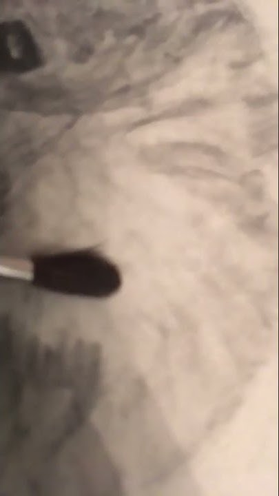 Inktober day 2: scurry #art #shorts #drawing #inktober #mouse - YouTube