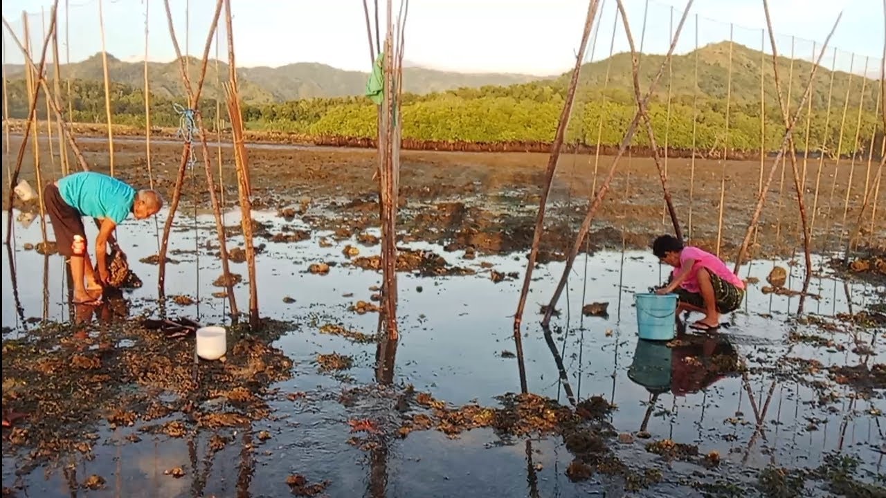 BUNSOD ADVENTURE Part 3 | DANGGIT | NEGROS #fishing #dagat#negrosisland ...