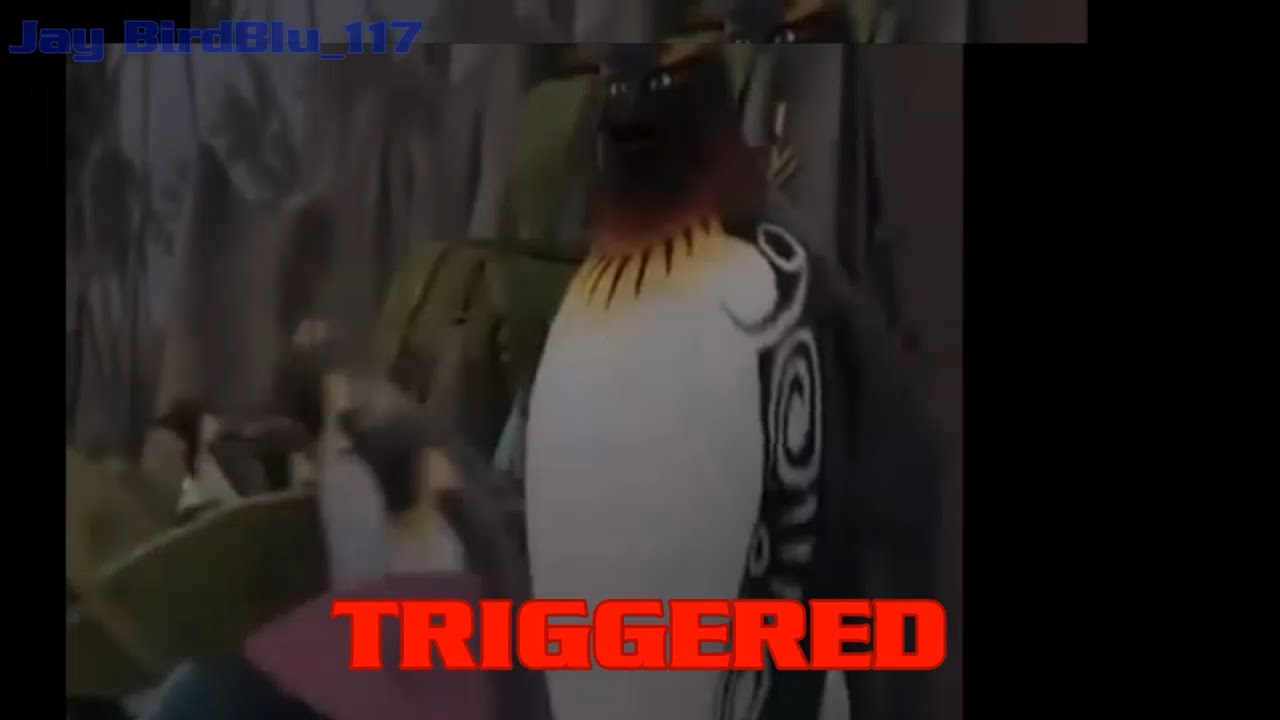 Surf's Up | Cody Triggered Tank [Random] - YouTube