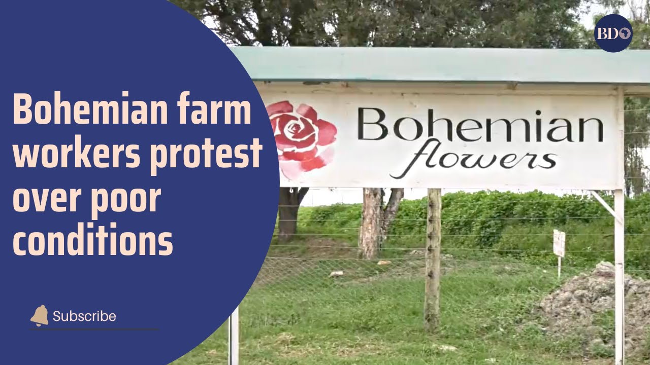 Bohemian flower farm workers protest over poor working conditions - YouTube