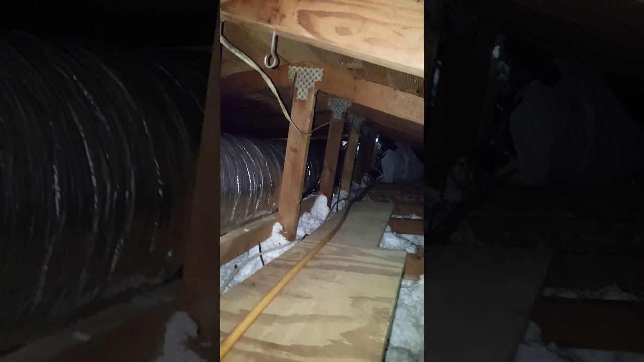 Drywood Termite Attic and Soffit Vent Liquid Treatment. - YouTube
