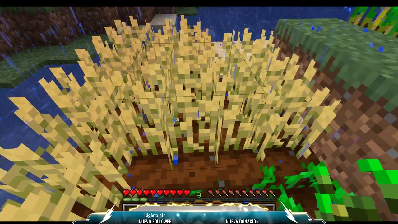 MINECRAFT Noob Edition #2 Seguimos vivos - YouTube