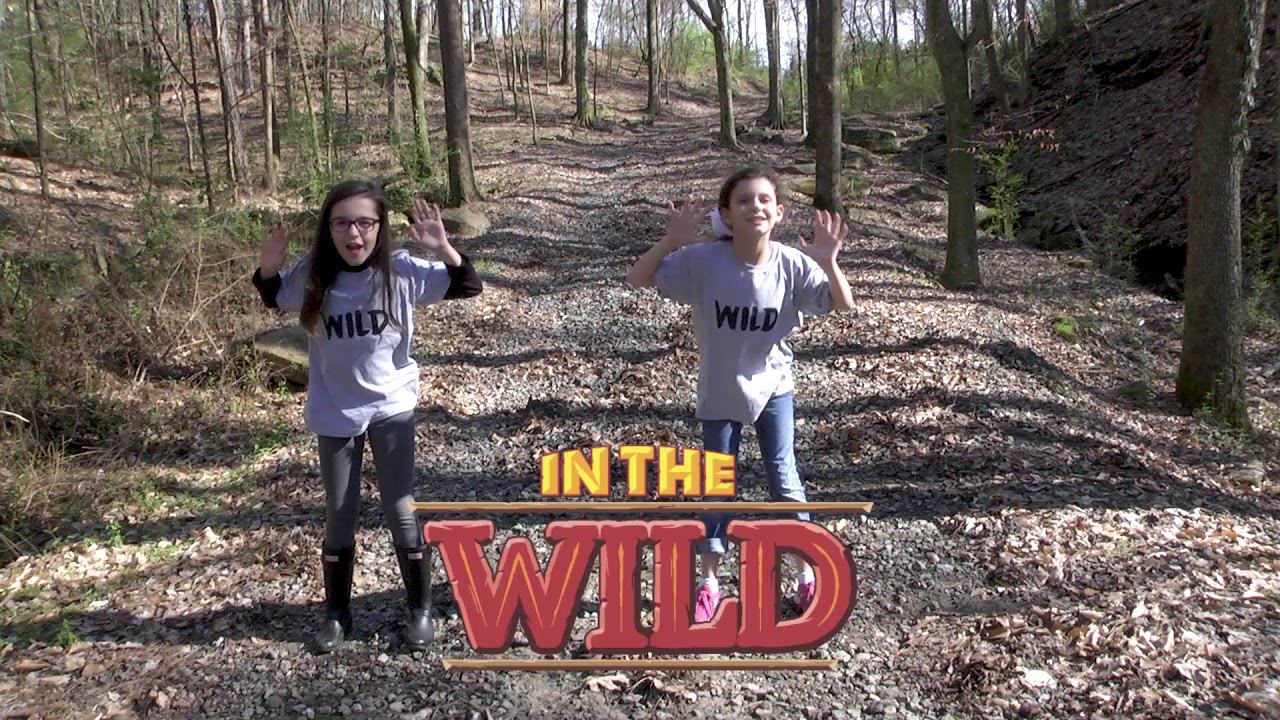 In The Wild | VBS 2019 Theme Song | LifeWay Kids | Music & Motions ...