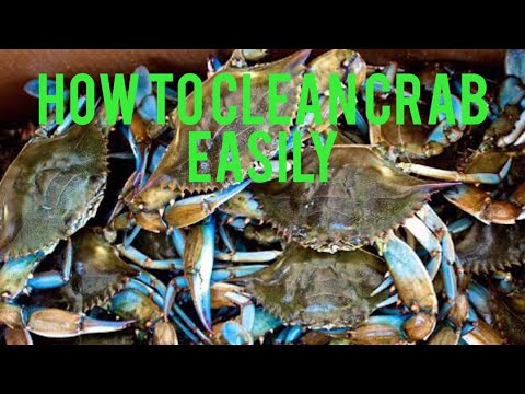 How to clean crab/Easy method - YouTube