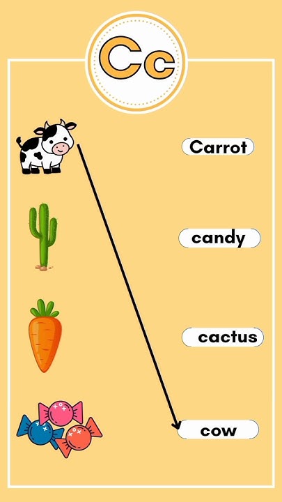 "Letter C " || Match objects starting with Letter "C" - YouTube