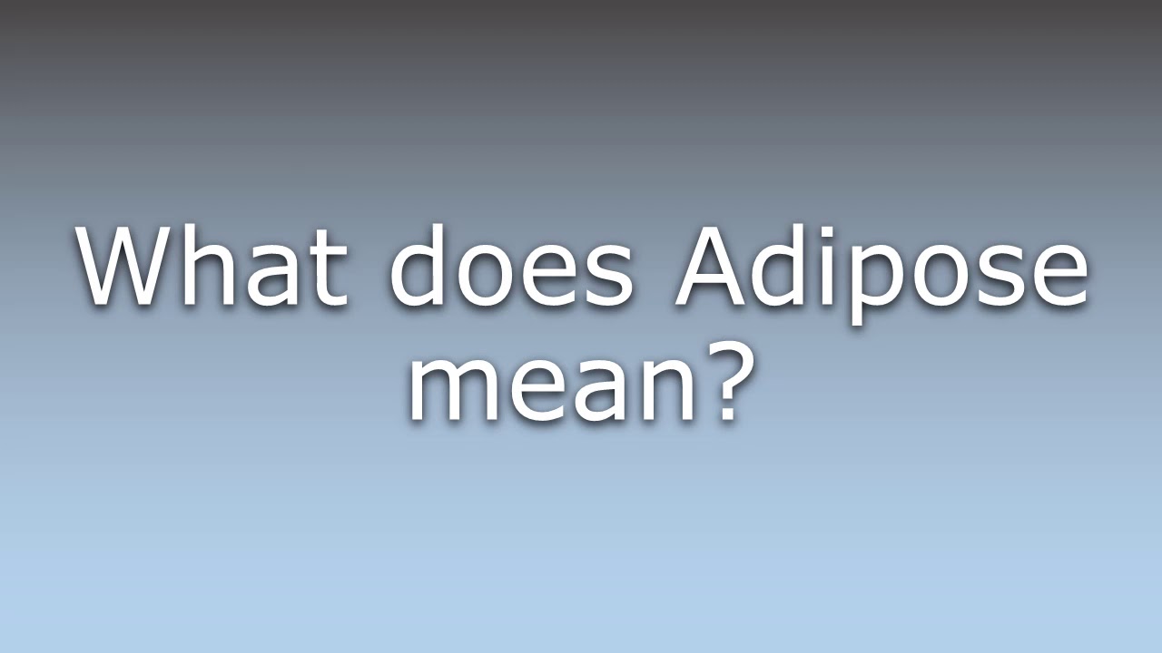 What Does Adipose Mean YouTube what-does-adipose-mean-youtube