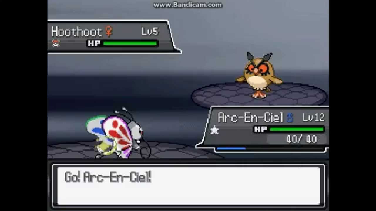 LIVE Shiny Hoothoot on Pokemon Reborn - 8 RE - YouTube