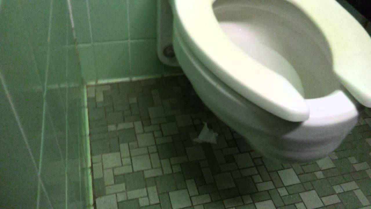 Bathroom Tour: Vintage Rheem Urinal and Standard Toilet Newman Hall ...