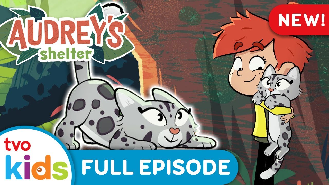 Pearl's Prey 🐆🎥 AUDREY’S SHELTER 👩‍🦰🦍 | 🐯 Animal Adventures with ...