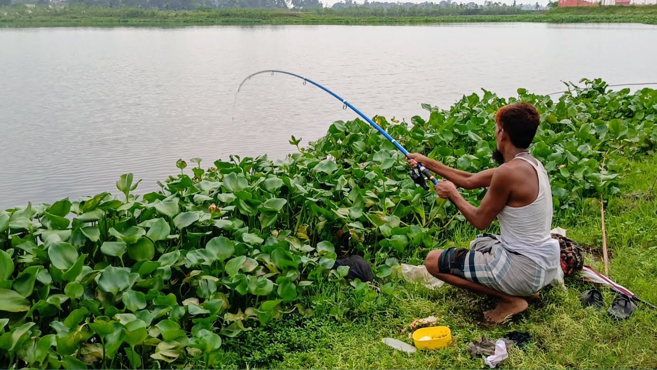ROHUFISH AND BAAMFISH" FISHING TECHNIQUES IN VILLAGES" SINGLE HOOK ...
