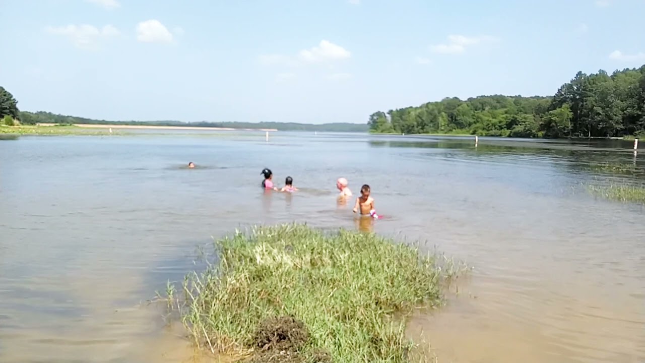 MARTIN CREEK LAKE STATE PARK SWIMMING AREA - YouTube