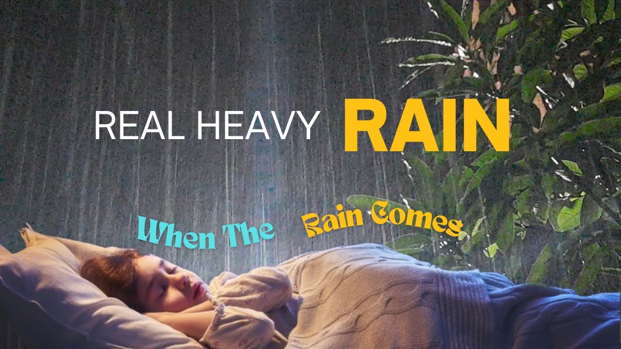 Real Rain Sounds For Sleeping - 99,9% Instantly Fall Asleep With Rain ...