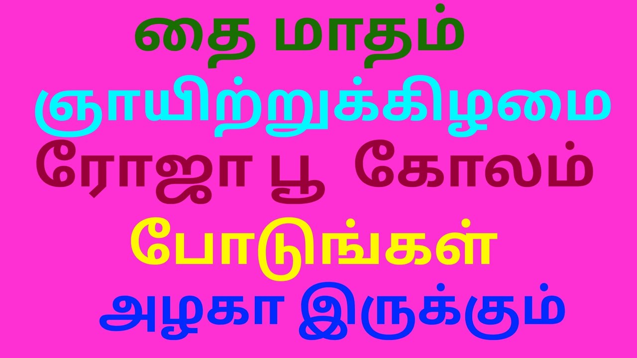 தை மாதம் கோலம்|ரோஜா பூ கோலம் |Thai matham kolam|Rose kolam|Roja poo ...