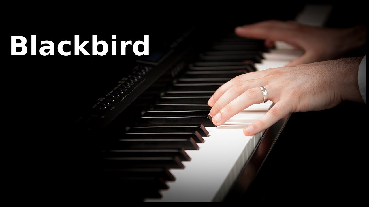 The Beatles | Blackbird | Piano Cover - YouTube