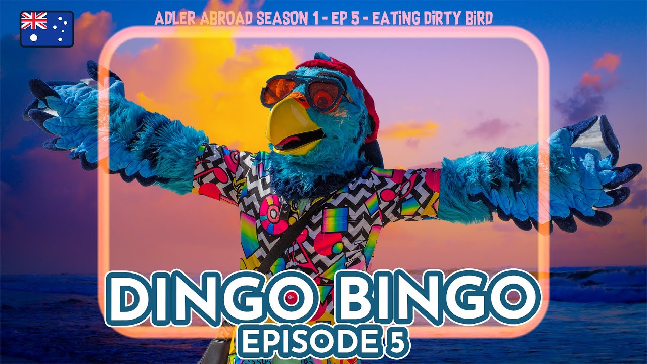 Dingo Bingo : EP 5 - Eating Dirty Bird - YouTube