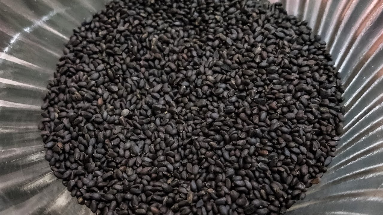 How to lose Weight fast with Subja seeds |A Must drink to reduce heat ...