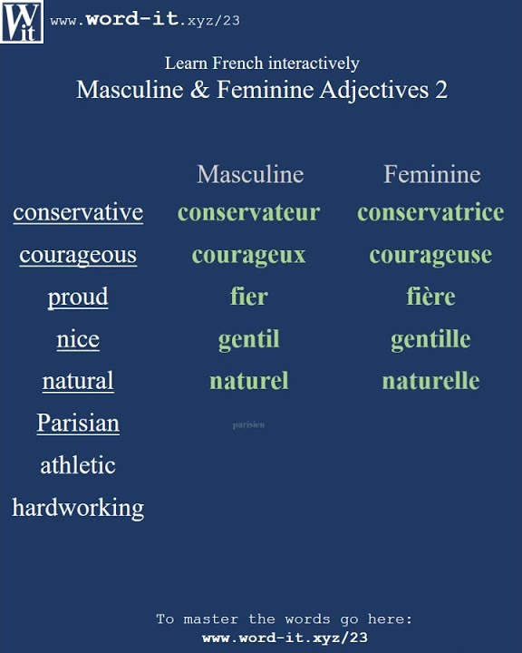 Master French: adjectives masculine & feminine 2 - YouTube