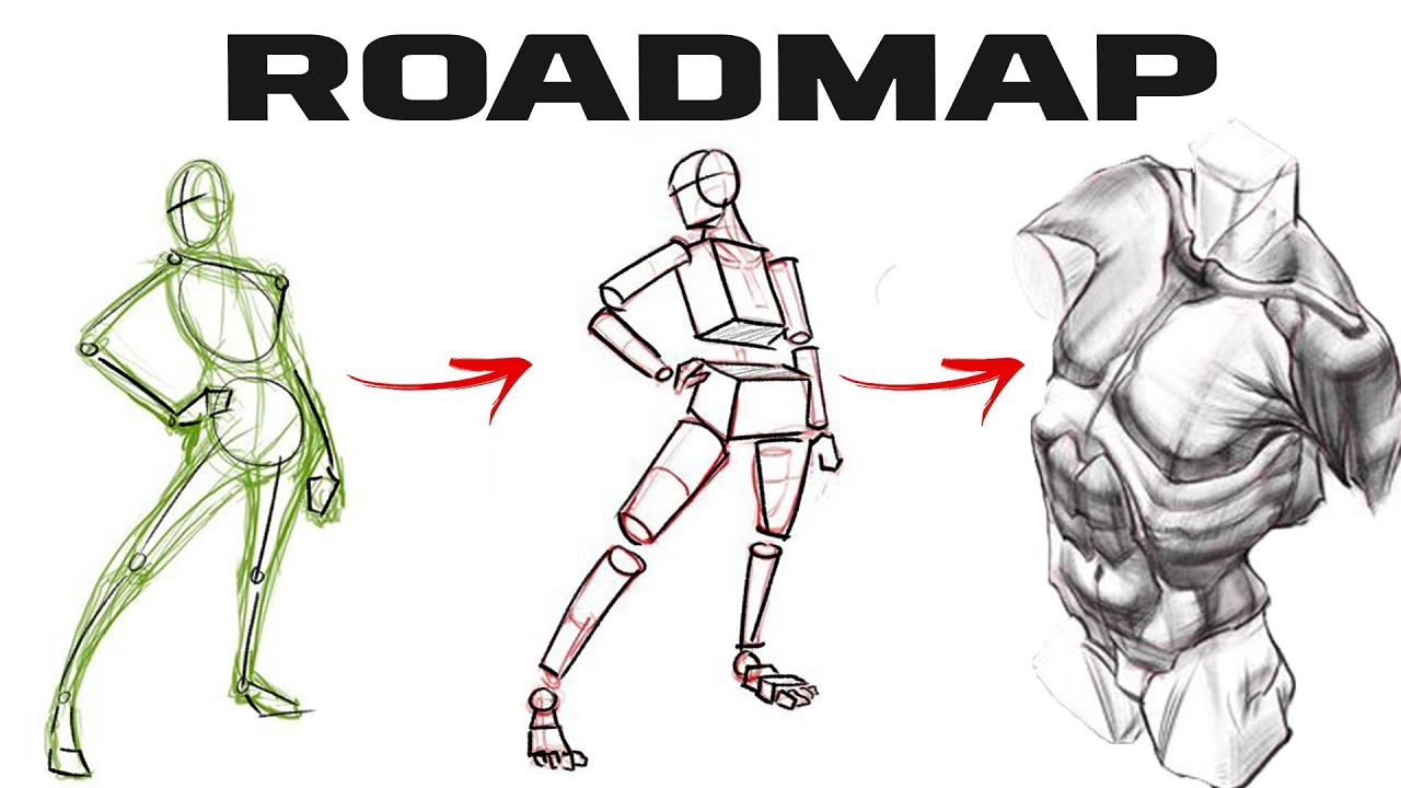 🤯 Master the Anatomy with this Practical Guide ( Level 1- 3) - YouTube