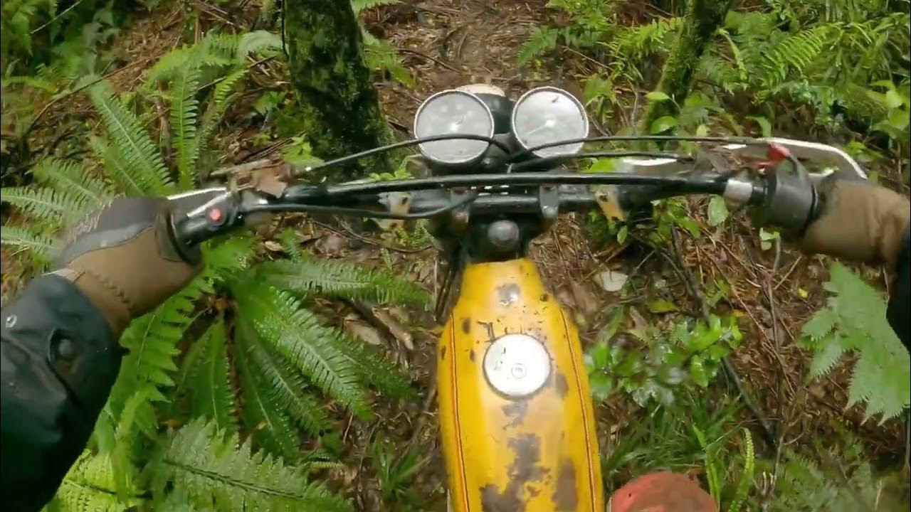Vintage hard enduro 1978 Suzuki ts 185 (Mellon track) - YouTube