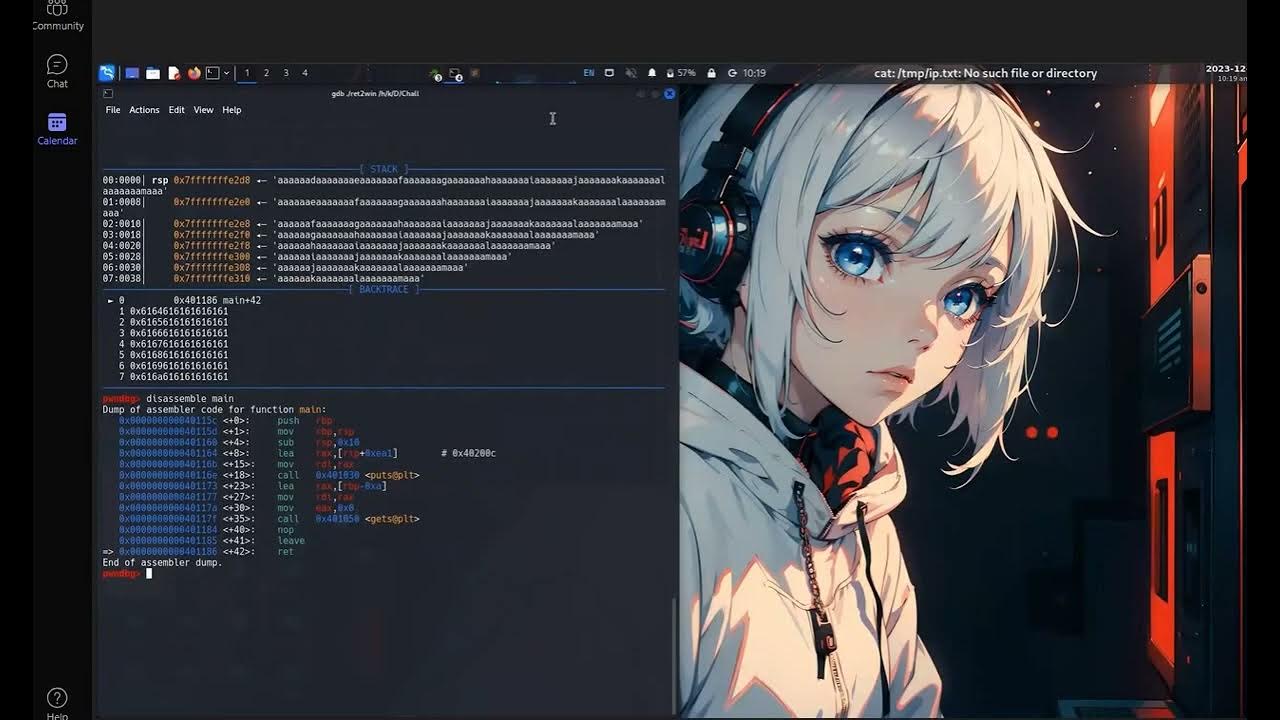 introduction to Binary Exploitation for Beginners | 2024 | #trending # ...