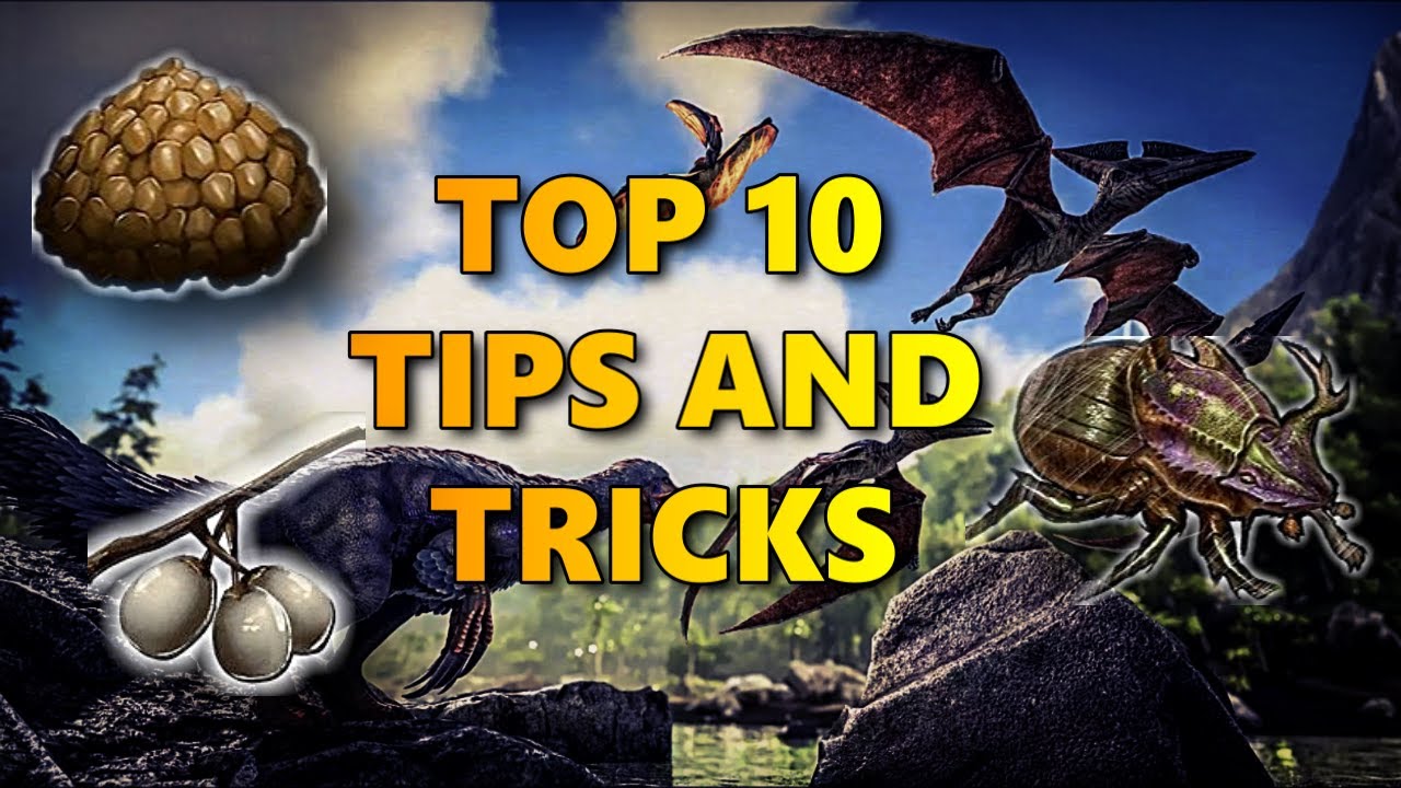 The Top Ten Tips And Tricks For Beginners In Ark Survival Evolved - YouTube