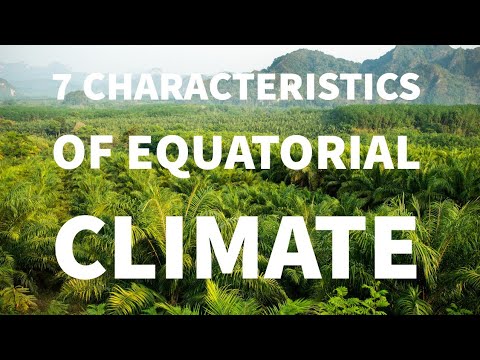 What Causes The Equatorial Climate