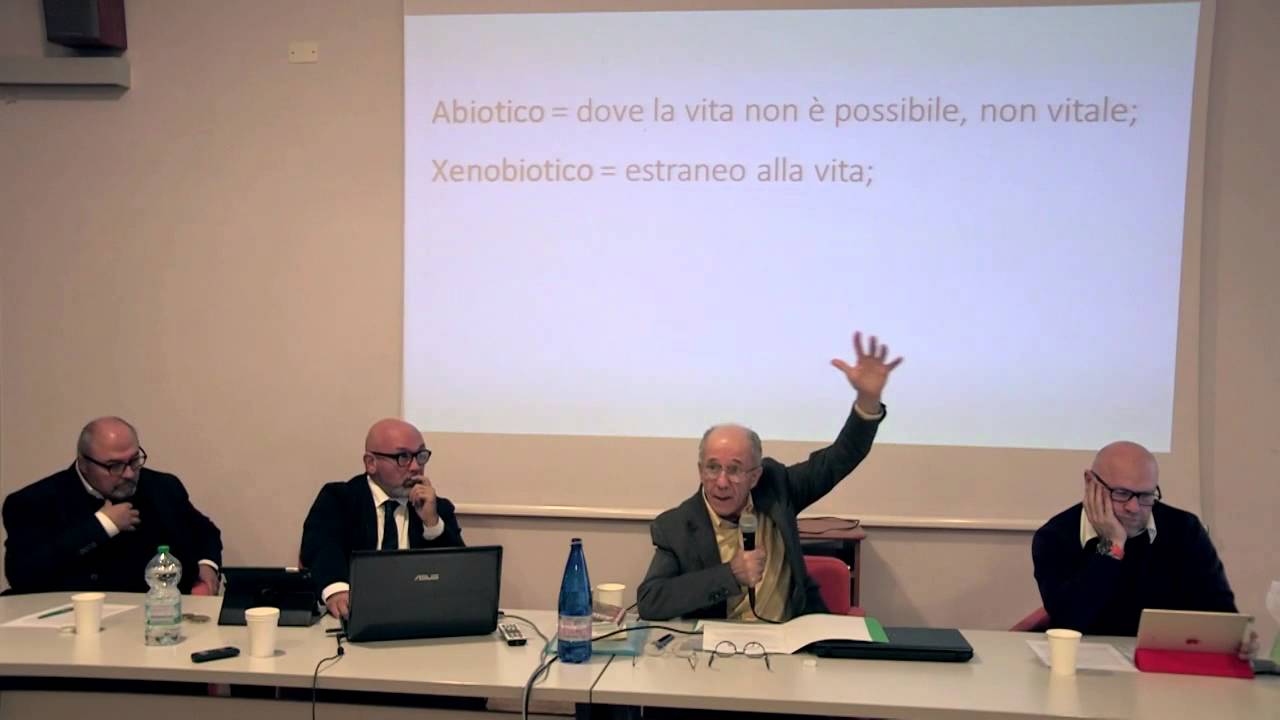 Livorno - Alberto Frattini: "Cambiare il paradigma della scienza" - YouTube