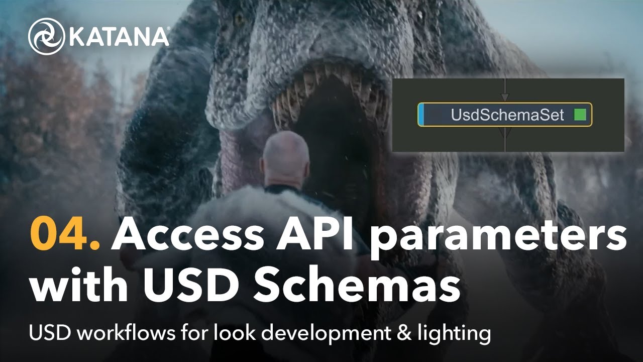 Katana 8.0 | Access API parameters with USD schemas - YouTube