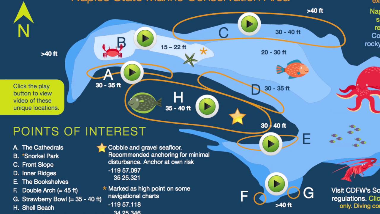 Marine Naples Fl Map