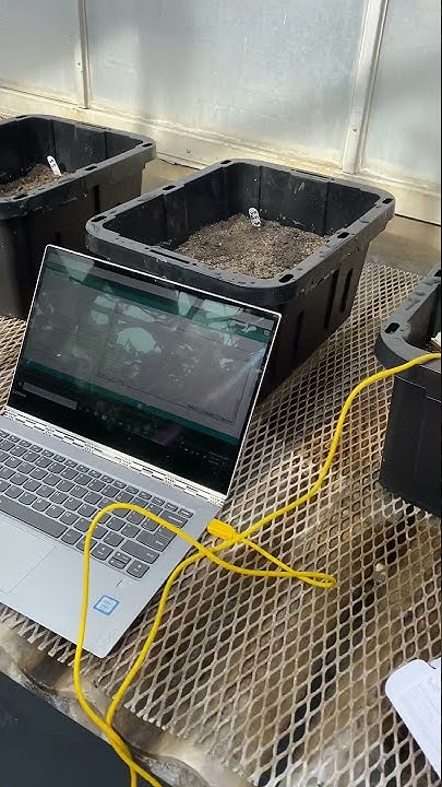 Soil Sensor Code - YouTube
