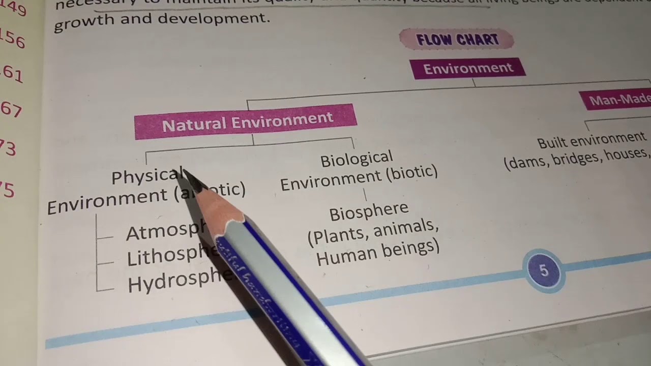 S.S.T class - 7. Component of environment. - YouTube