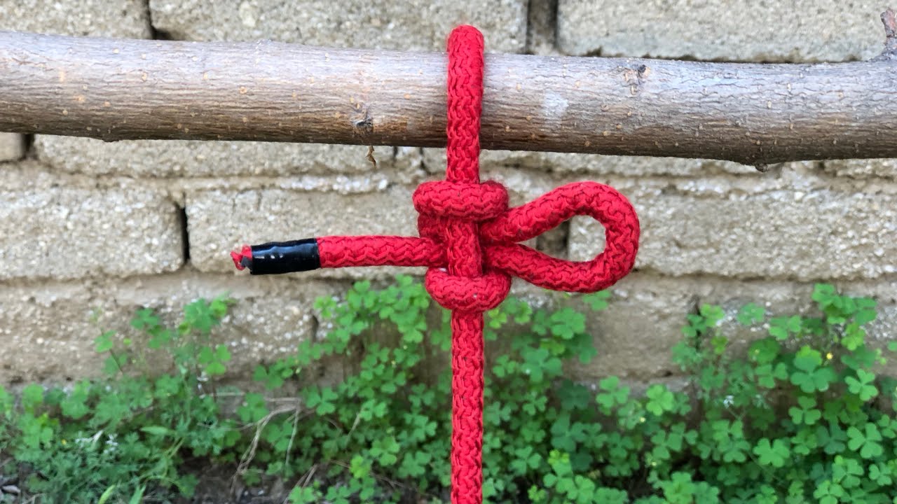 The Best Live Knot You Need To Know 👍 - YouTube